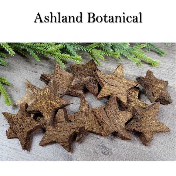 Ashland Botanical | Holiday | Ashland Botanical Christmas Coco Stars ...